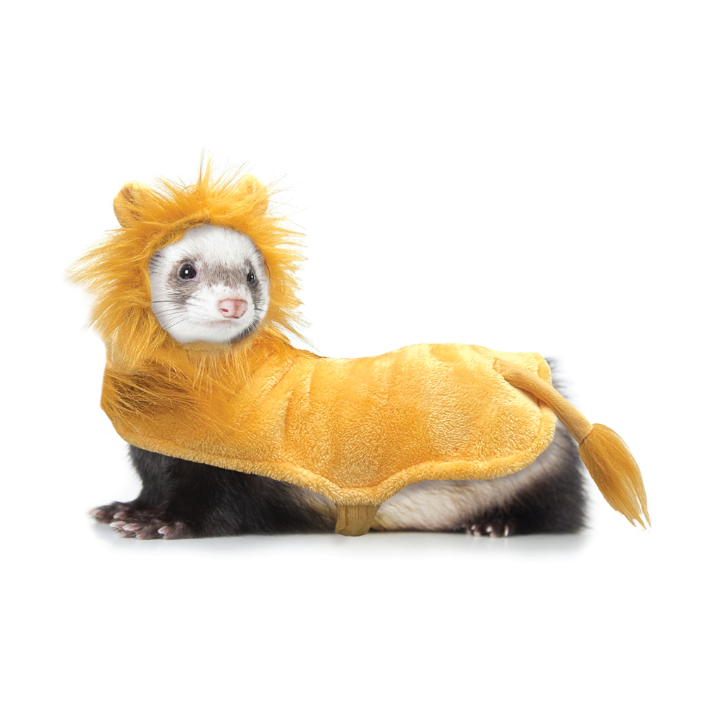 marshallferrets.com: Lion Costume